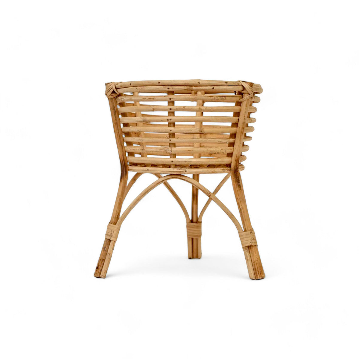 Leggy Cane Planter For Indoor Plants | Soiled